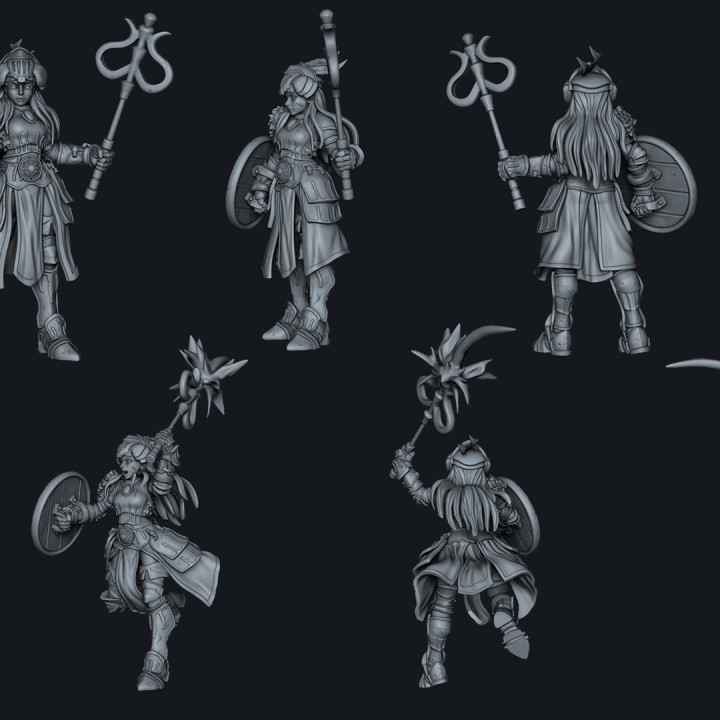 3D Printable Burondi The Cleric- Idle and Action Pose by Ronin Arts ...