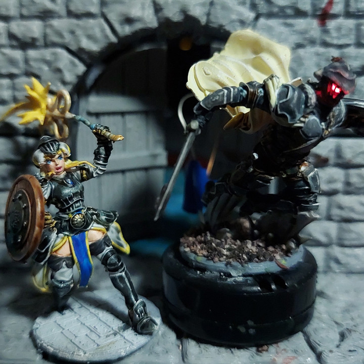 3D Printable Burondi The Cleric- Idle and Action Pose by Ronin Arts ...