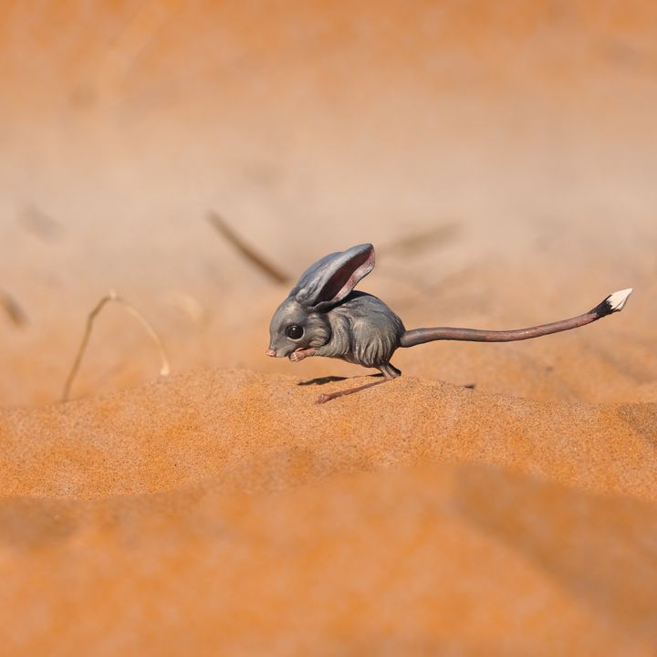3D Print of Long-Eared Jerboa by dactylusgekkonidae