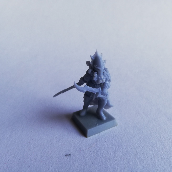 3D Printable Dark Elf Kraken Tamer Miniature (32mm, modular) by Juhász ...