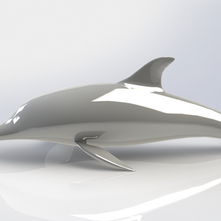 3D Printable Dolphin by Alize