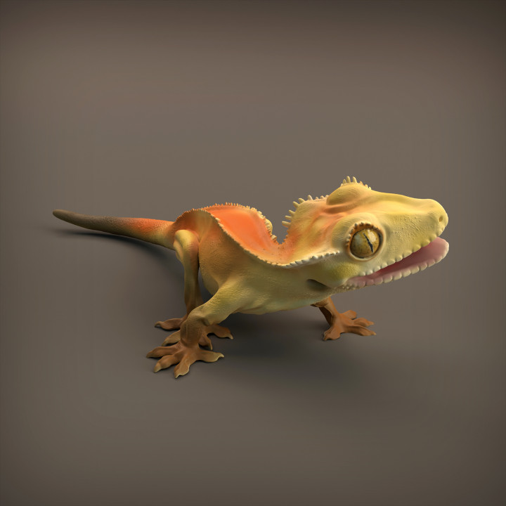 3D Printable Crested Gecko by Animal Den Miniatures