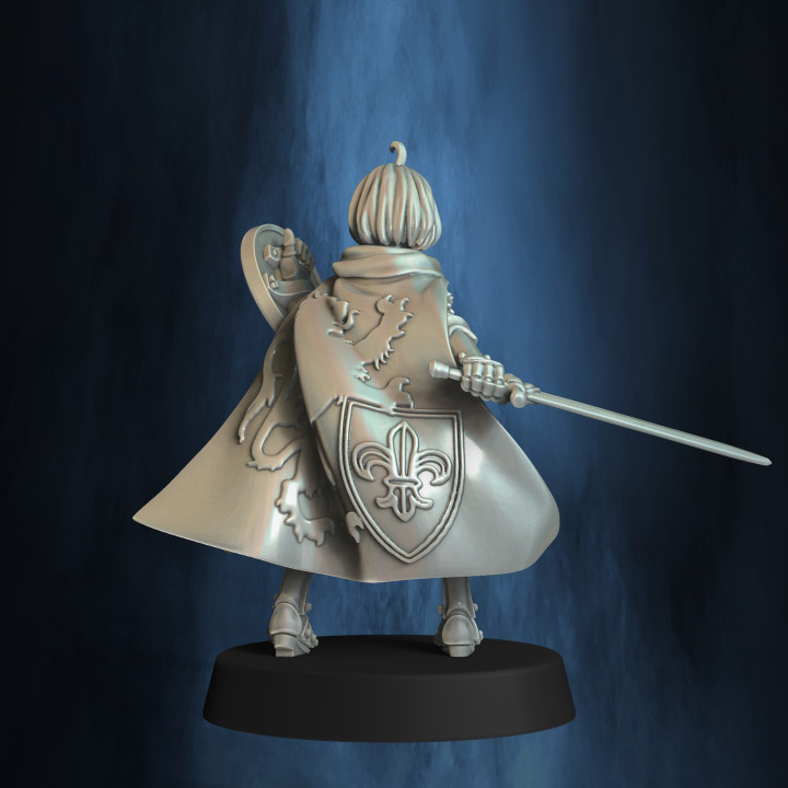 3D Printable Bucket Knight "Iris" by Amida