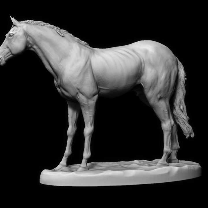 3D Printable Horse Tabletop miniature by Leticia Tomazini
