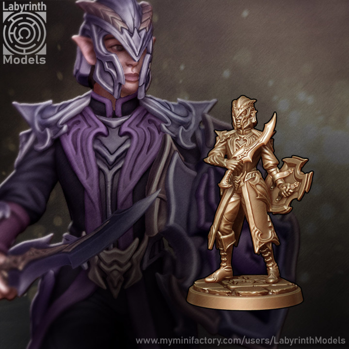 3D Printable Dark Elf Guards - 32mm scale by Labyrinth Models