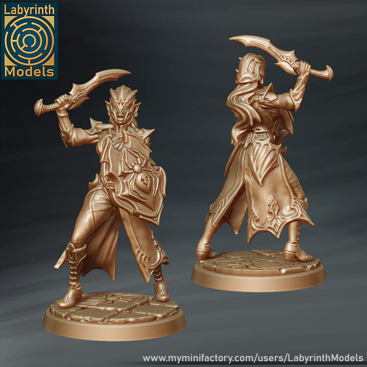 3D Printable Dark Elf Guards - 32mm scale by Labyrinth Models