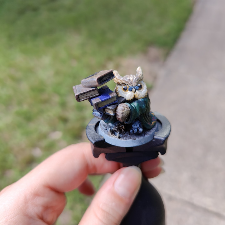 3D Print of Owlkin Librarian Miniature - Pre-Supported by SnowDrift