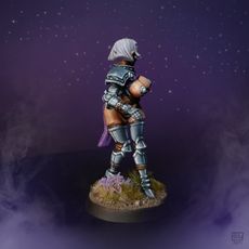 3D Printable Pointless Armor Elf by Twin Goddess Miniatures