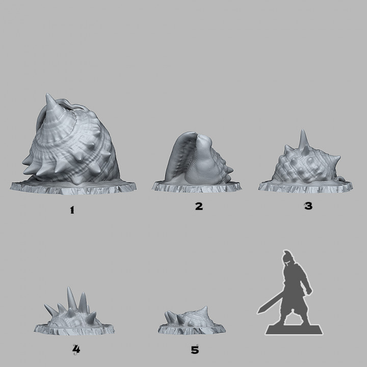 3D Printable GIANT HERMIT'S CRAB SHELLS by Fantastic Plants And Rocks