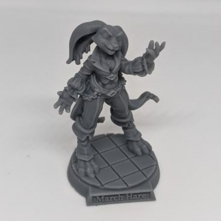 3D Print of Wonderland - Alice in Wonderland part 1 (Alice, White ...