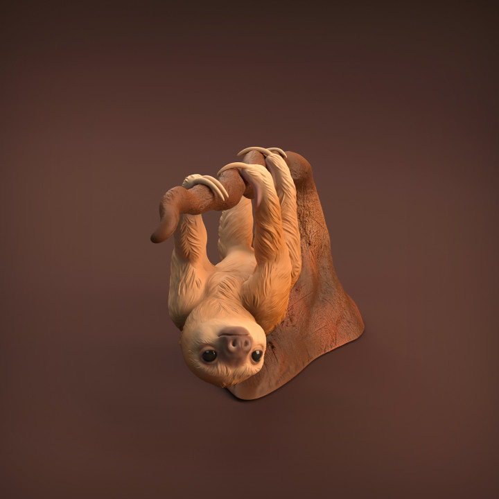 3D Printable Baby Sloth by Animal Den Miniatures