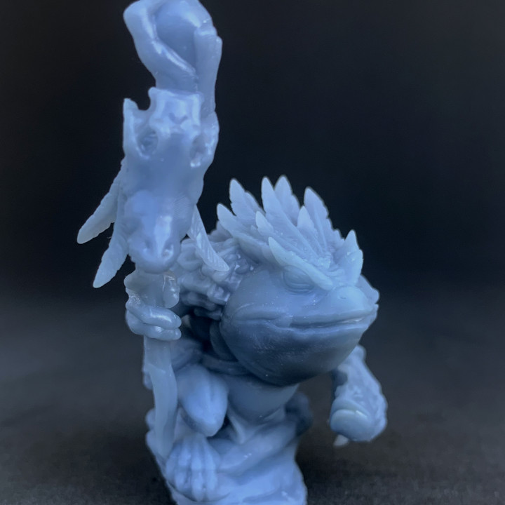 3D Printable Frog shaman by Trogdor