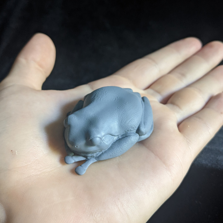 3D Printable Frogs, Volume 1: Multipack by Hellbender Museum