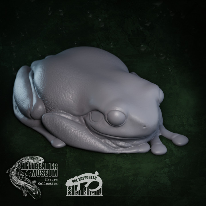 3D Printable Frogs, Volume 1: Multipack by Hellbender Museum