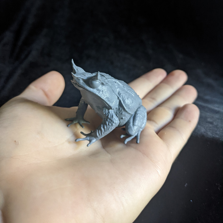3D Printable Frogs, Volume 1: Multipack by Hellbender Museum