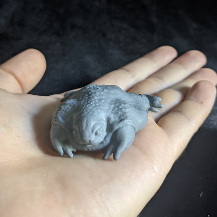 3D Printable Frogs, Volume 1: Multipack by Hellbender Museum