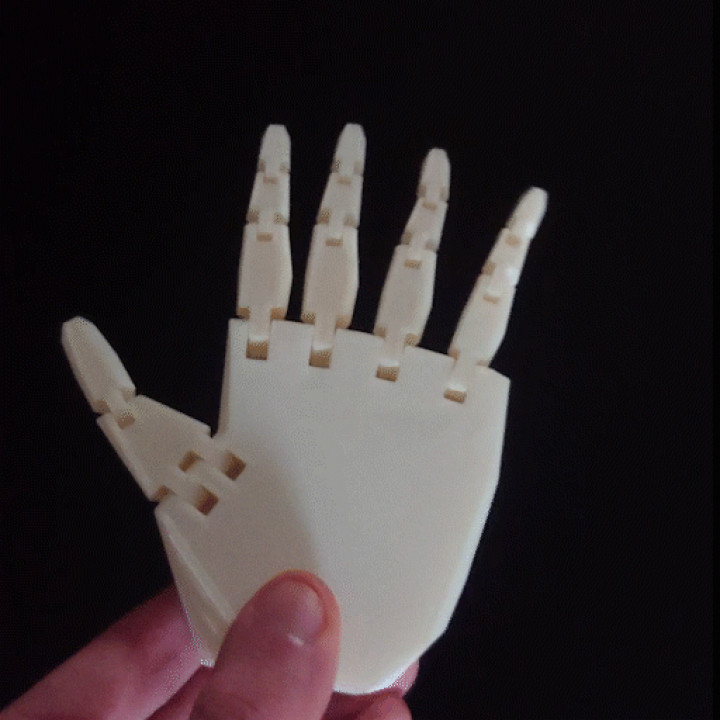 3D Printable Print In Place, Articulated Hand by Beanjuice