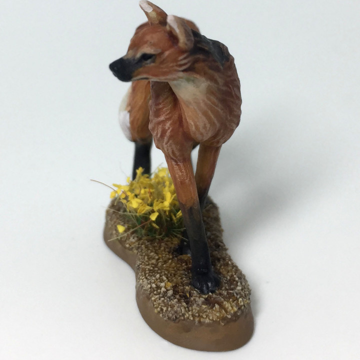 3D Printable Maned Wolf by Bella Nacht Minis