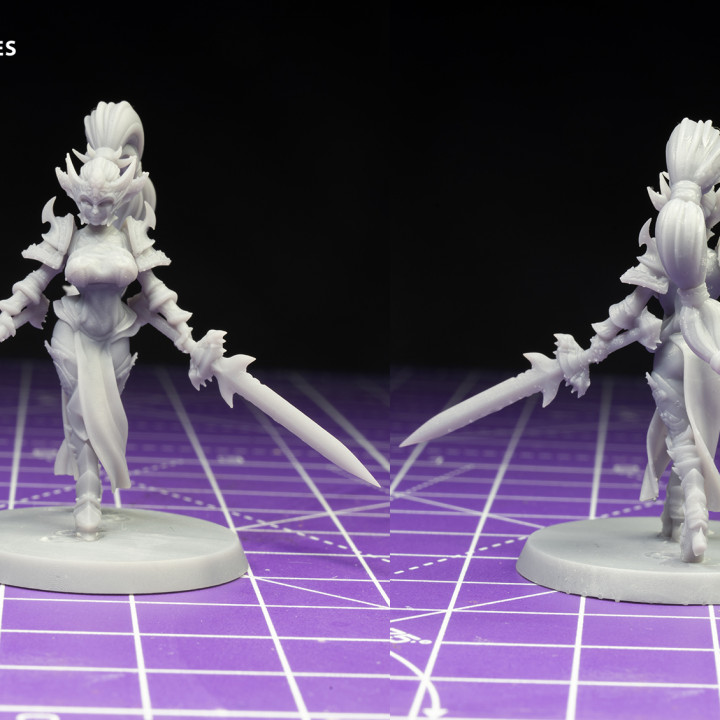 3D Printable Drow Legionnaires Bundle - 4 Variants and Pinup Each by ...