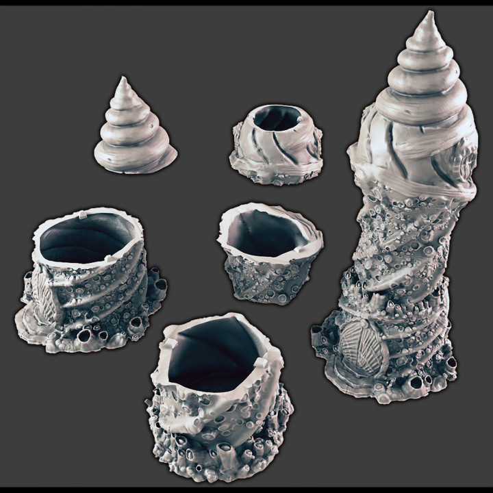3D Printable Aquatic Shell Homes and Coral Tower [SUPPORT-FREE] by Evan ...