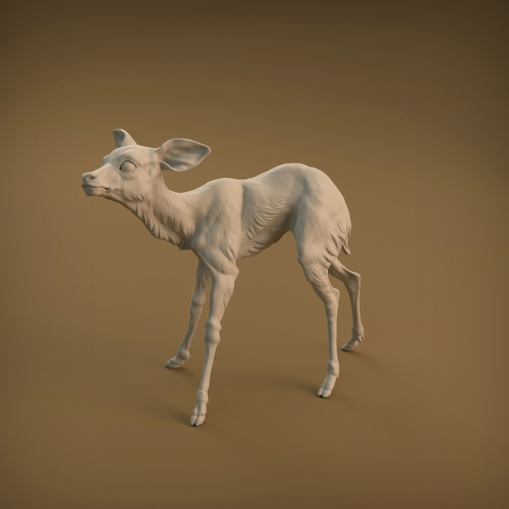 3D Printable Fawn by Animal Den Miniatures