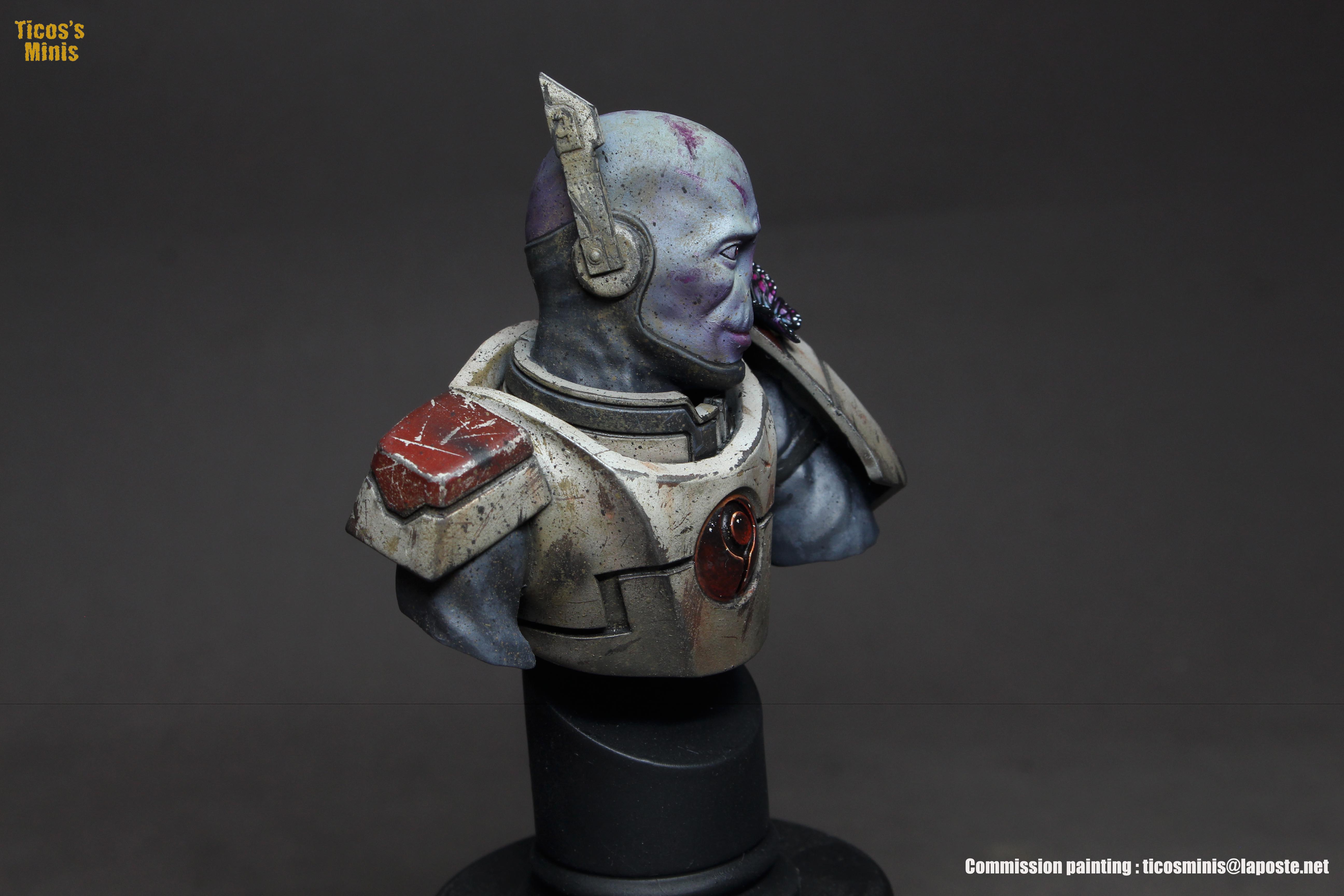3D Printable Tau with butterfly Bust by Ogareg Miniatures