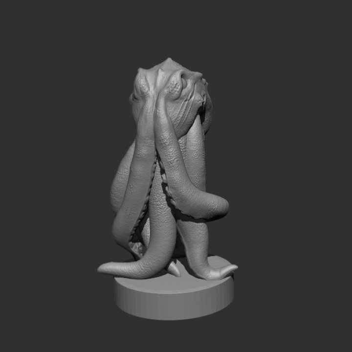 3D Printable Octopus Idol by Iron Heart
