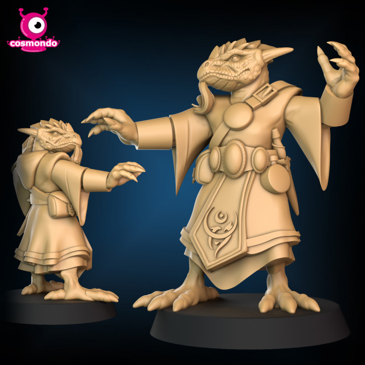 3D Printable Dragonborn Wizard + Riding Version by cosmondo