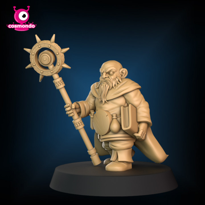 3D Printable Dwarf Wizard + Riding Version by cosmondo