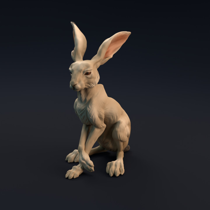 3D Printable Jackrabbit by Animal Den Miniatures