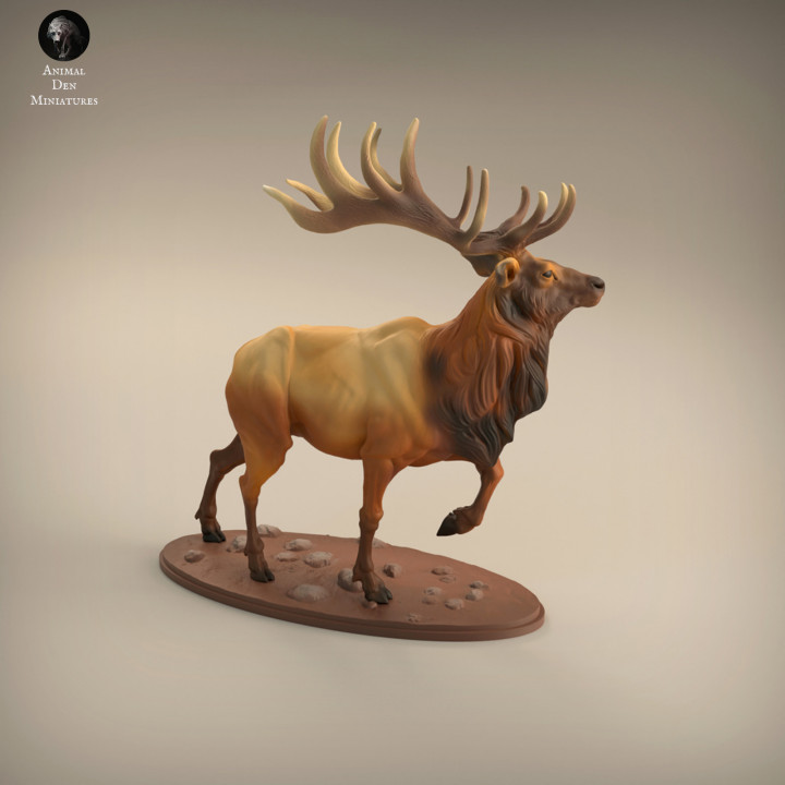 3D Printable Elk by Animal Den Miniatures