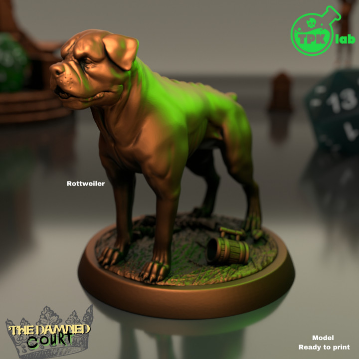 3D Printable Rottweiler by TPK Lab