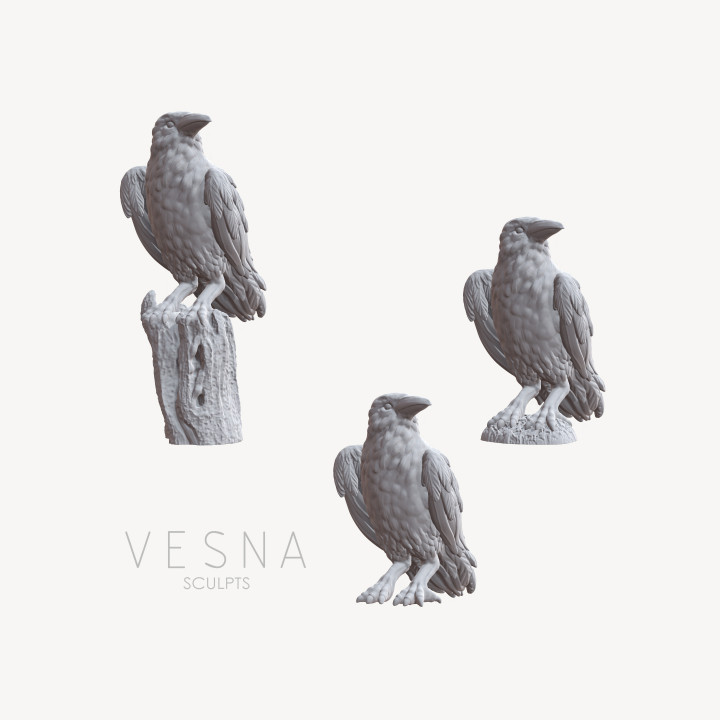 3D Printable RAVEN PACK by VESNA SCULPTS
