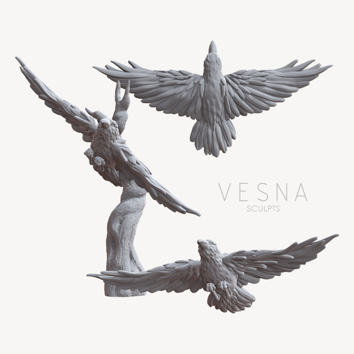 3D Printable RAVEN PACK by VESNA SCULPTS