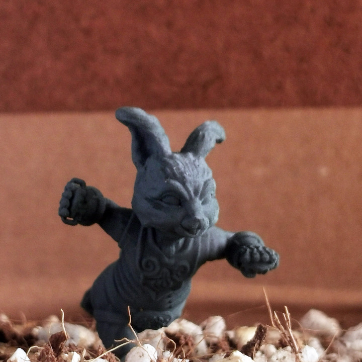 3D Printable (Pre-supported) Rabbit Folk Monk by Naga Minis