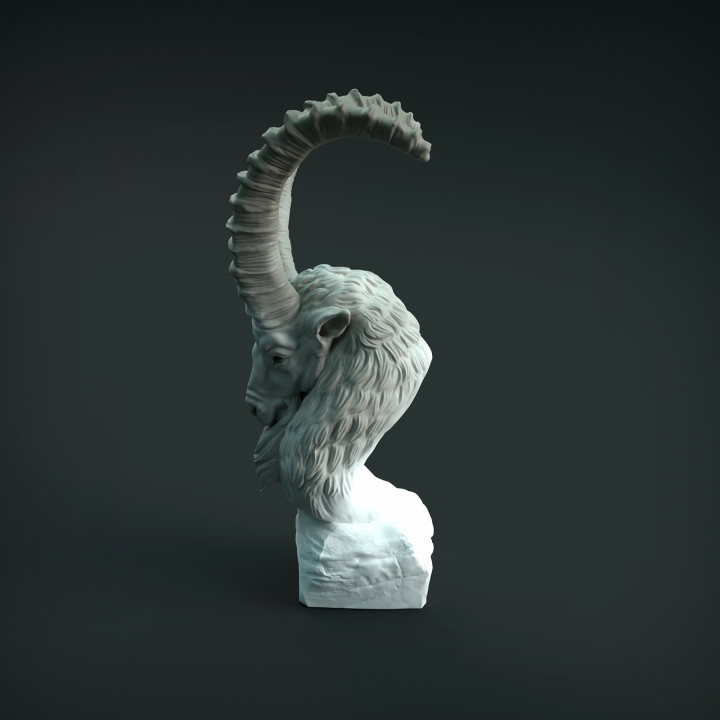 3D Printable Siberian Ibex Bust by Animal Den Miniatures