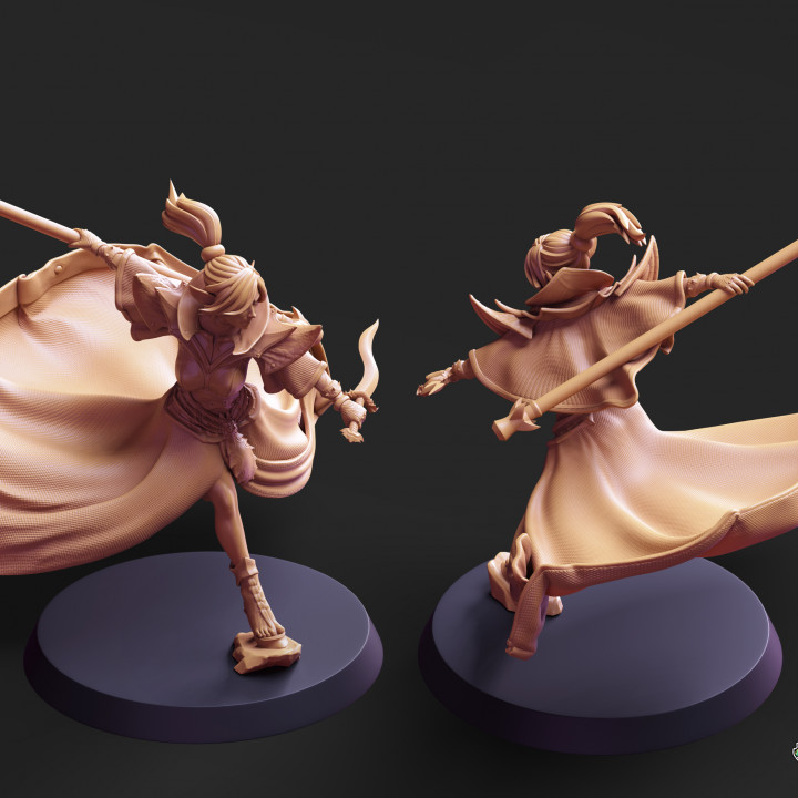 3D Printable Drow Cleric Pose 2 - 4 Variants and 2 Pinups by PSMiniatures