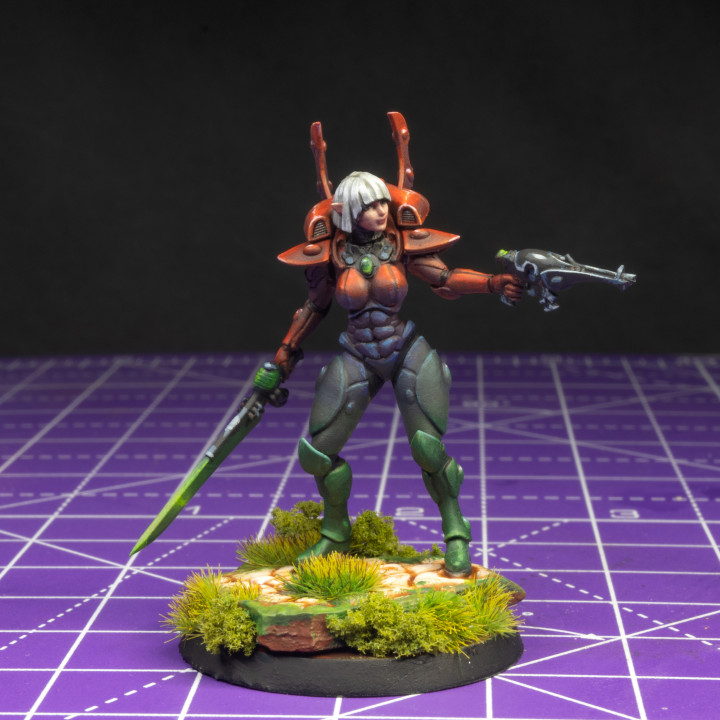 3D Print of Space Elf Female Soldier Pose 1 - 8 Variants and 2 Pinups ...