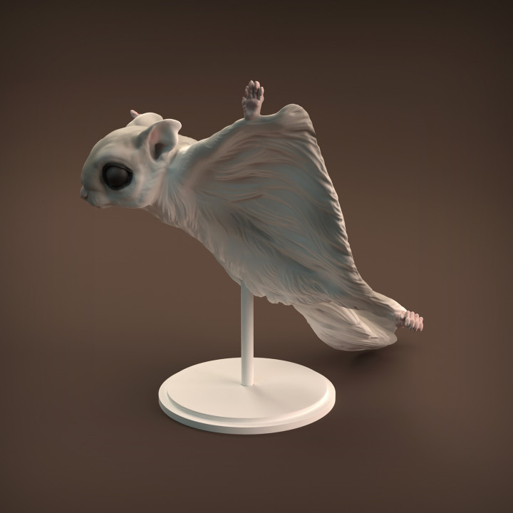 3D Printable Flying Squirrel by Animal Den Miniatures
