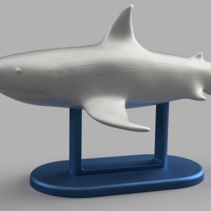 3D Printable Shark by Philippe Barreaud