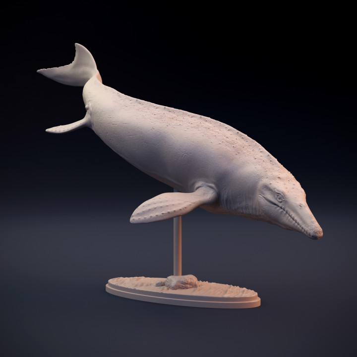 3D Printable Mosasaurus swimming - marine reptile by Dino and Dog