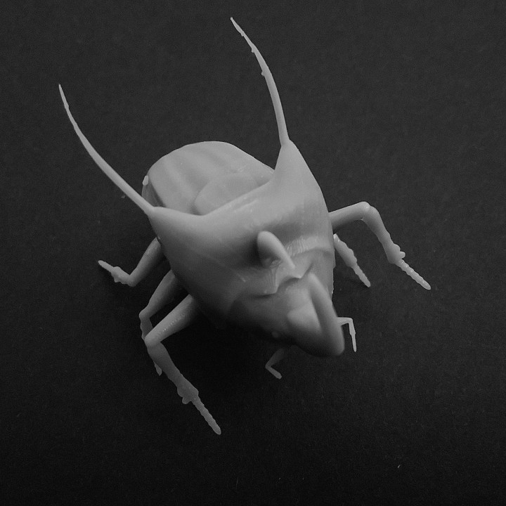 3D Printable Mammoth Scarab by HolzKopf14