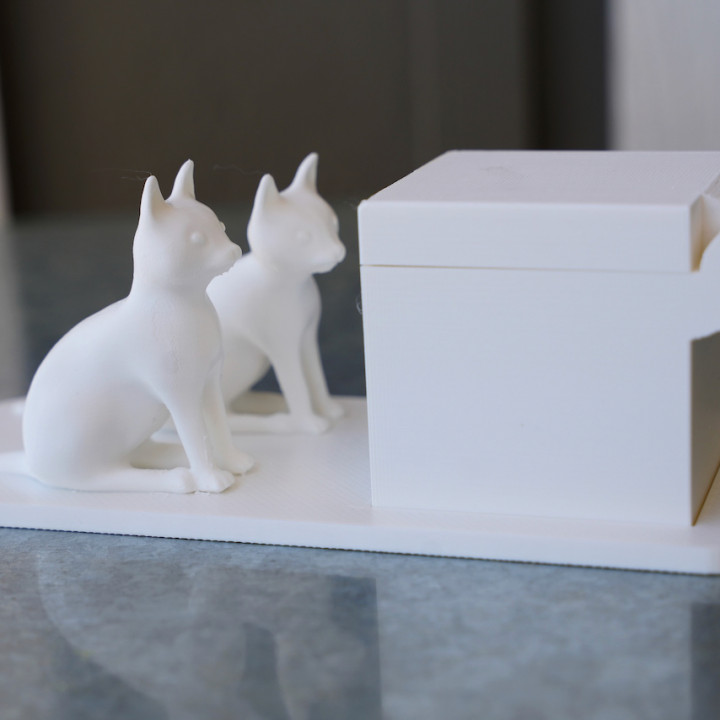3D Printable Cats with box by Philippe Barreaud