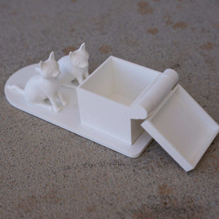 3D Printable Cats with box by Philippe Barreaud