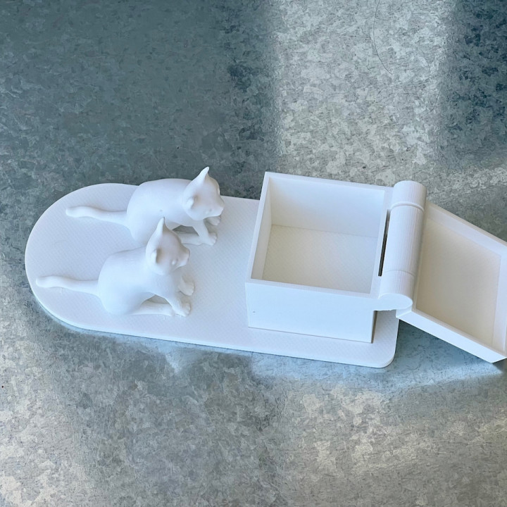 3D Printable Cats with box by Philippe Barreaud
