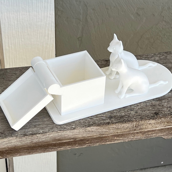 3D Printable Cats with box by Philippe Barreaud