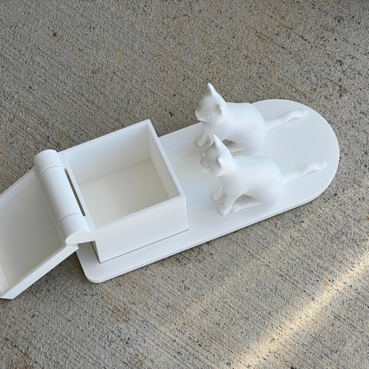 3D Printable Cats with box by Philippe Barreaud
