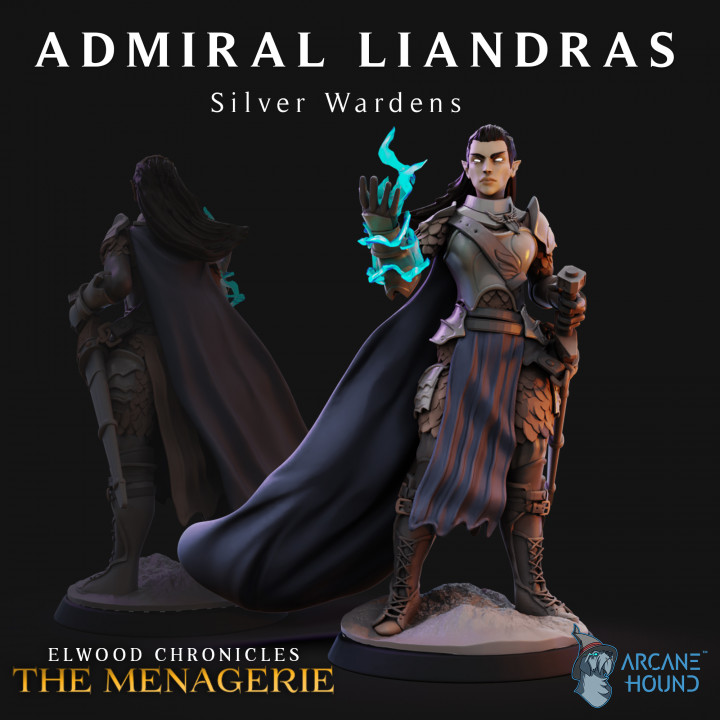 3D Printable Elf General Female - Pre-Supported by Arcane Hound