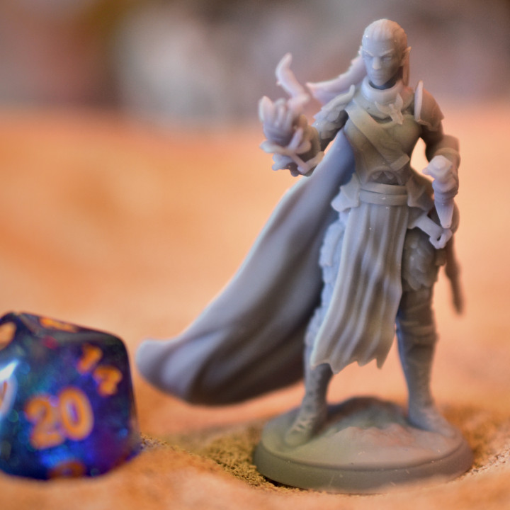 3D Printable Elf General Female - Pre-Supported by Arcane Hound