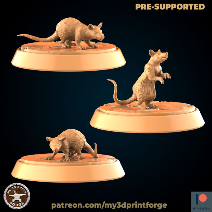 3D Printable Rat pack (3 models) by My3DPrintForge